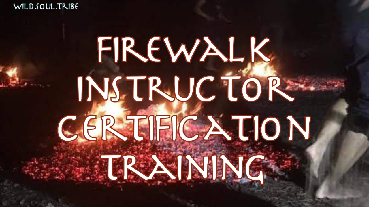 Certification and Live Events - Wild Soul Tribe