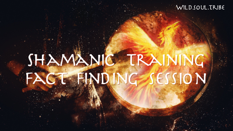 Shamanic Training - Fact Finding Session - Wild Soul Tribe
