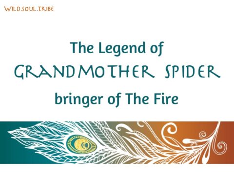 The Legend of Grandmother Spider - Bringer of The Fire - Wild Soul Tribe